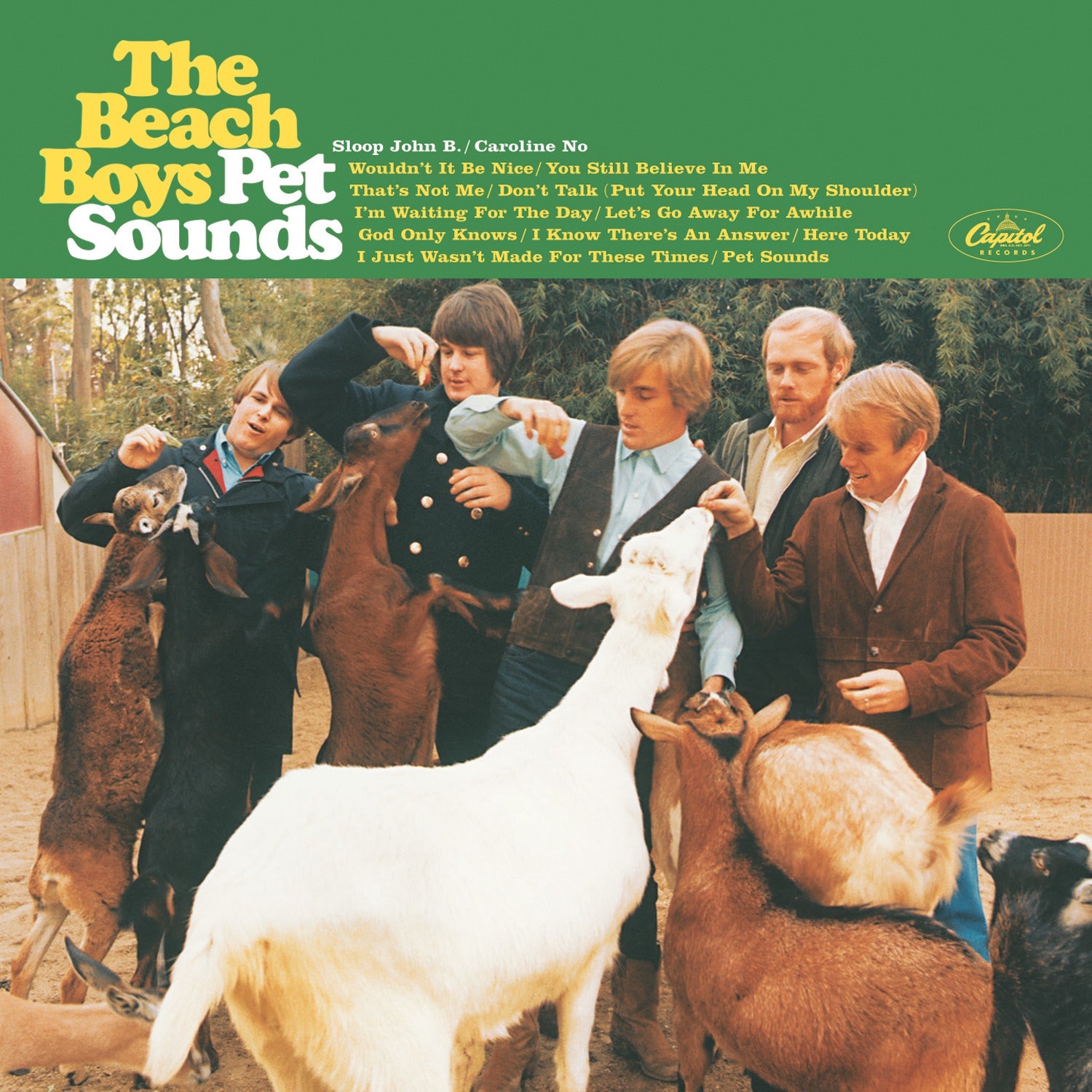 The Beach Boys Pet Sounds - Vinyl Album – Music2u.com.au