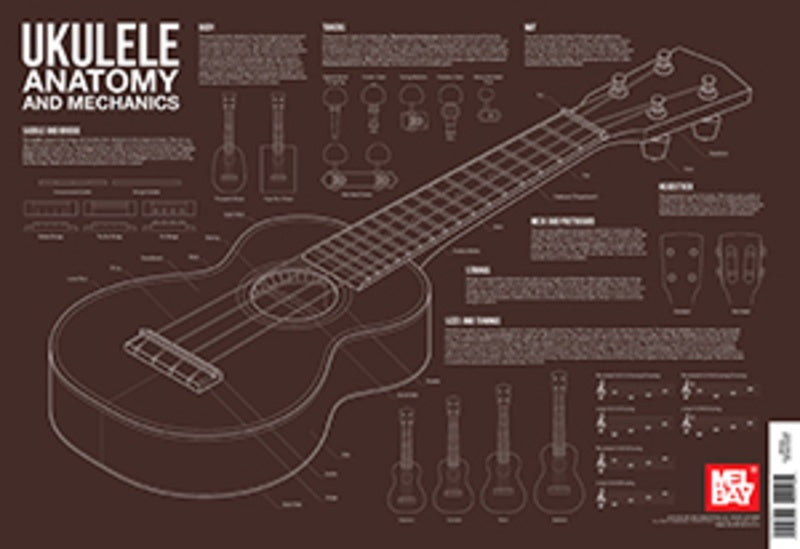 Ukulele Anatomy And Mechanics Wall Chart – Music2u.com.au