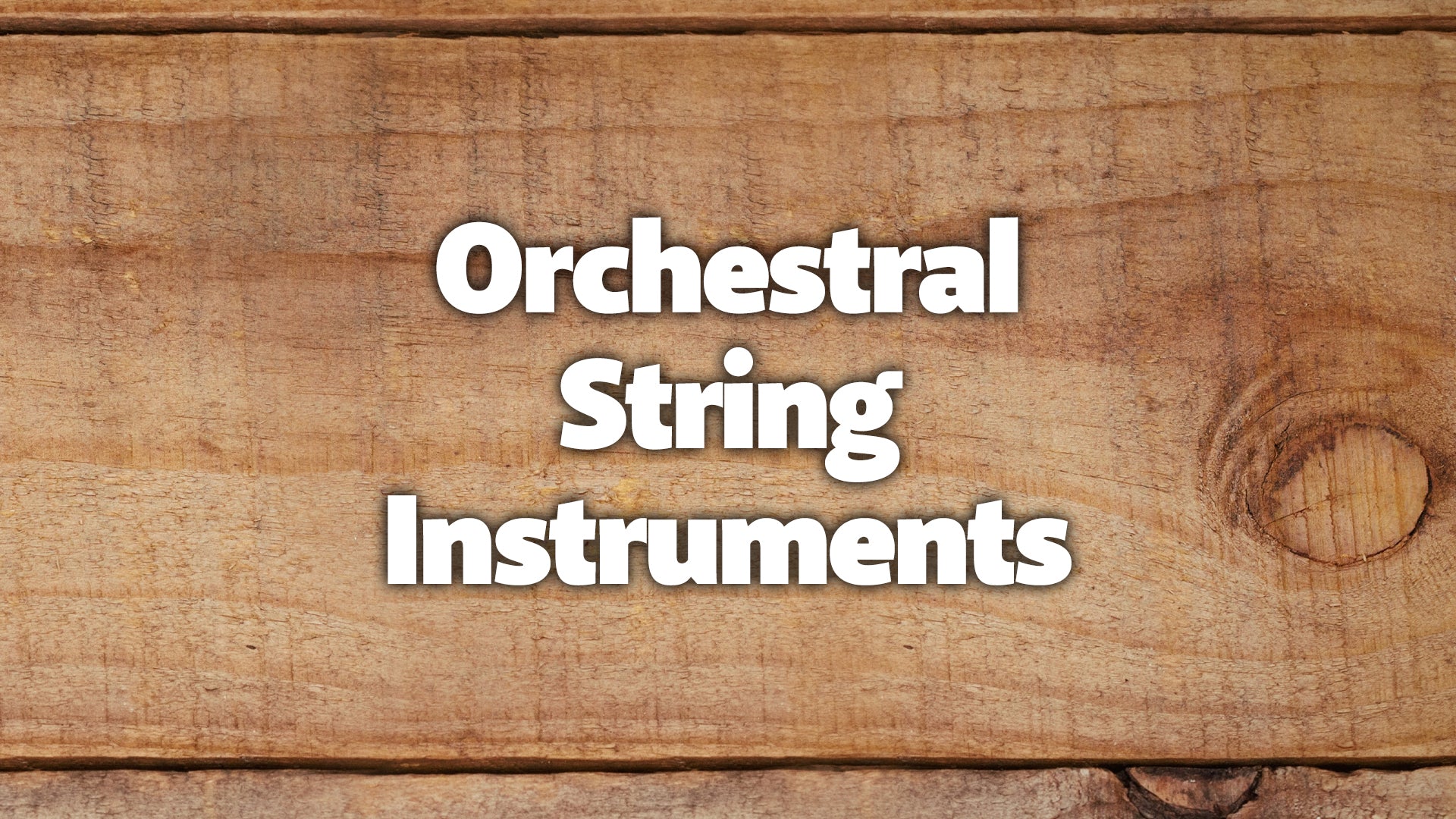 Orchestral Stringed Instruments – Music2u.com.au
