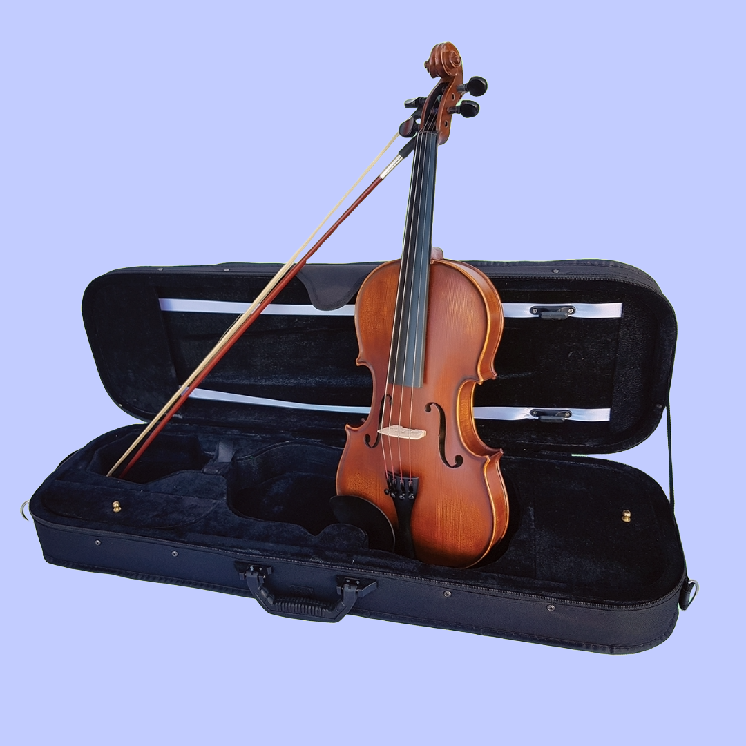 Vivo Alpha 4/4 Student Violin Outfit with Case & Bow-(Beginner Violin ...