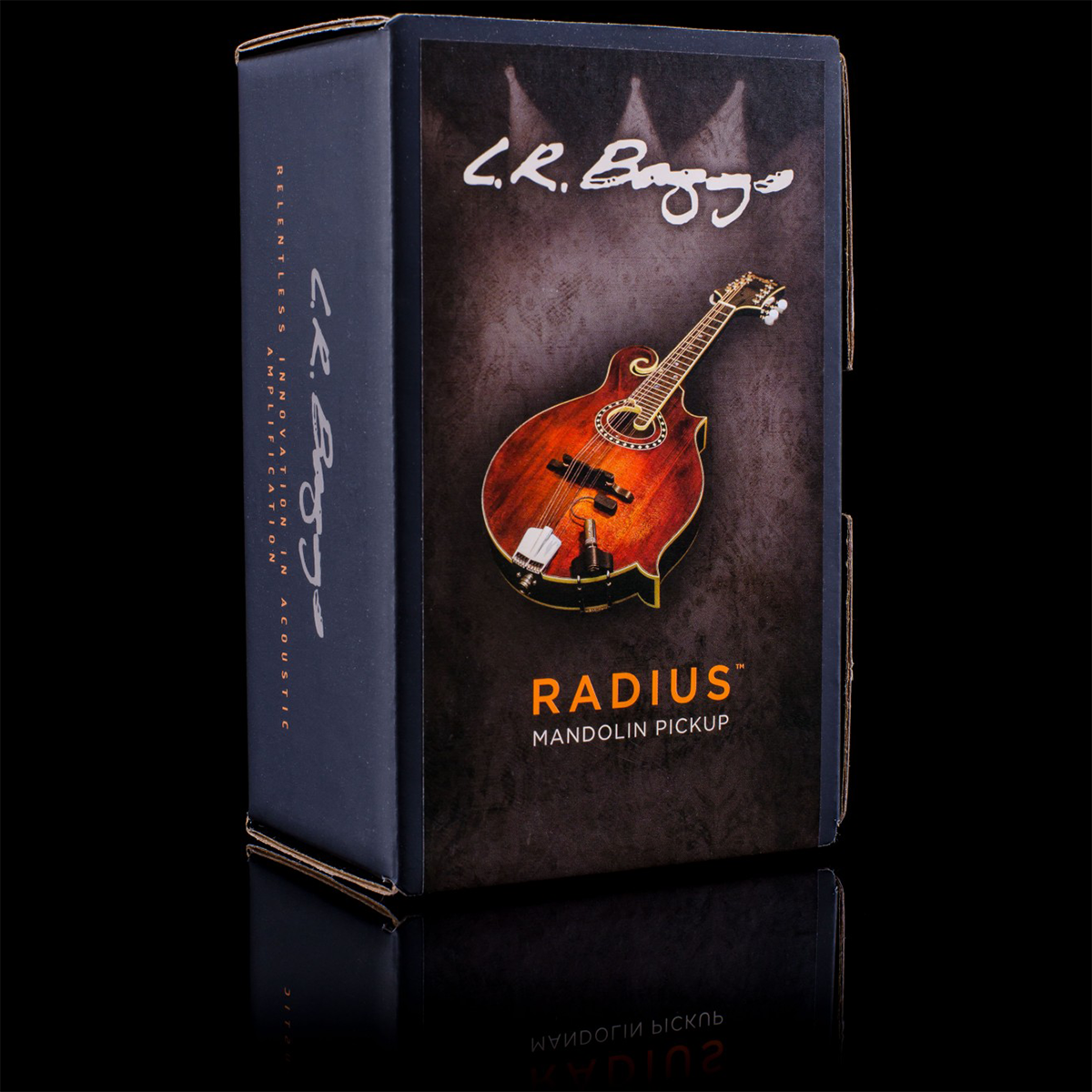 LR Baggs RADM Radius Mandolin Pickup w/ JACK – Music2u.com.au